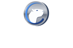 capybarausa.com | Merchant Cash Advances